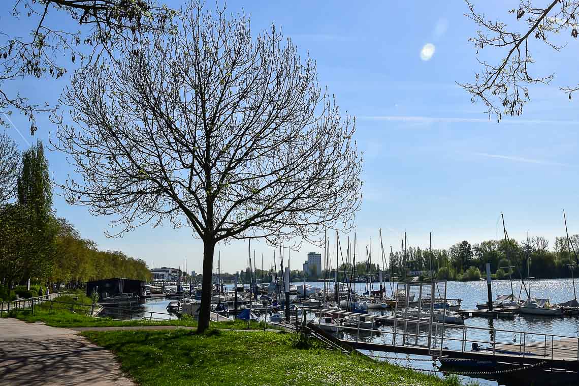 Der Schiersteiner Hafen wird immer attraktiver | Wiesbaden lebt