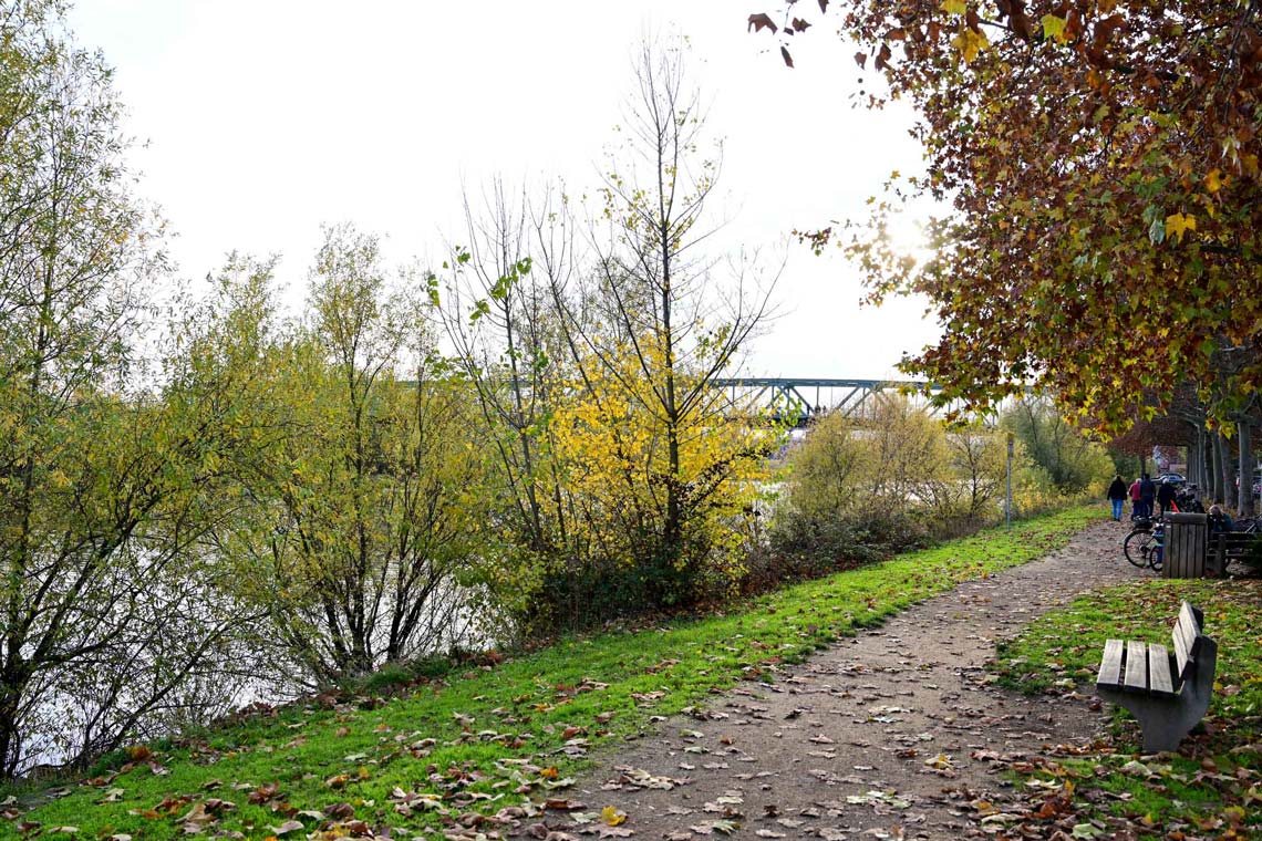 Rhein- und Mainufer-Gestaltung mit Bürgerbeteiligung - Wiesbaden lebt