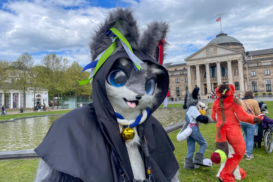 Furry-Fandom: Plüschtiere erobern Wiesbaden - Wiesbaden lebt